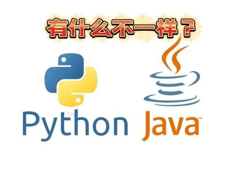 Java和python哪个实用 Csdn博客