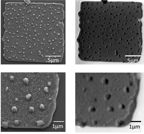 Surface Of The Superconducting Film Characterized By Scanning Electron Download Scientific