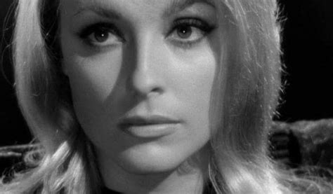 Sharon Tate Fanblog