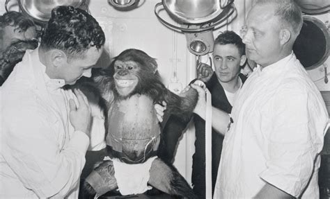 Strange Things Humans Have Sent To Outer Space