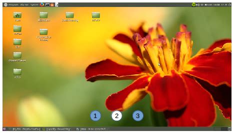 Idea A Smart Linux Home Screen