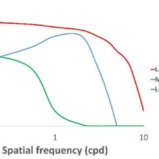 Contrast Sensitivity Functions Computed From Simulation Of The Retina Download Scientific