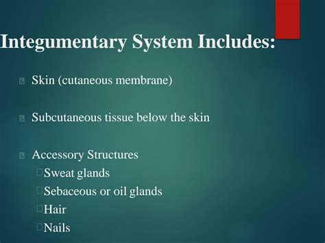 SOLUTION Integumentary System Ppt Studypool