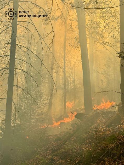 На Надвірнянщині сталася масштабна лісова пожежа що відомо ФОТО ПІК ПІК