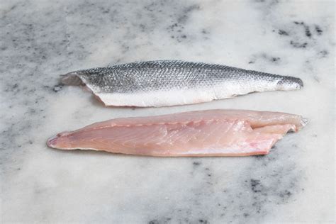 Fresh Sea Bass Fillets Fillet Of Seabass Regal Fish