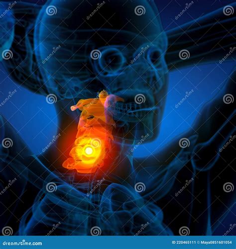 D Render Medical Illustration Of The Cervical Spine Stock Illustration Illustration Of Human