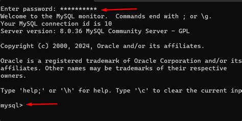 How To Restore A Mysql Backup With Xamp Dev Community
