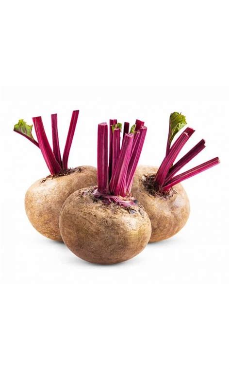 A Grade Pan India Ooty Fresh Beetroot Packaging Type Gunny Bag Packaging Size 50 Kg At Rs 45