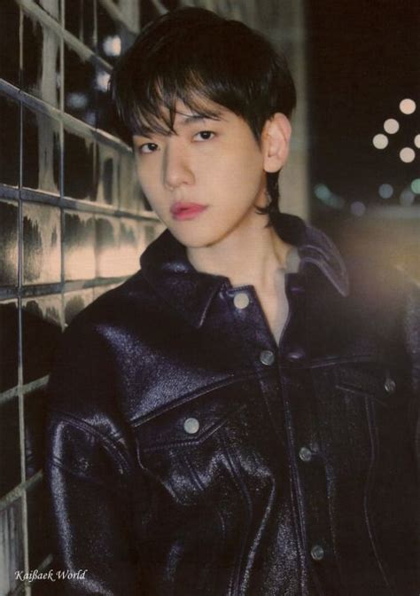 Dailyexo Baekhyun Anjos