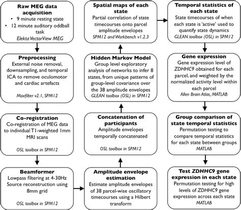The Processing And Analysis Pipeline Used On The Resting State And