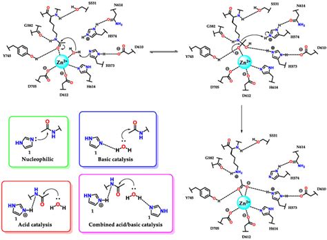 Imidazole Synthesis Functionalization And Physicochemical Properties Of A Privileged Structure