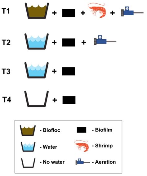 Quản Lý Vi Khuẩn Nitrat Hóa Trong Nuôi Tôm Thẻ Chân Trắng Bằng Công Nghệ Biofloc Công Ty TNHH