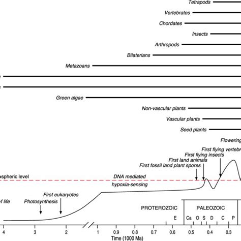 8 Extinction Events In The Phanerozoic This Is A Graph Of Proportion Download Scientific