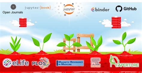 Neurolibre Collaborations The Canadian Open Neuroscience Platform