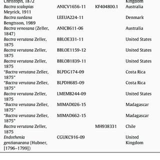 Sequences Used In The Bayesian Analysis Download Scientific Diagram