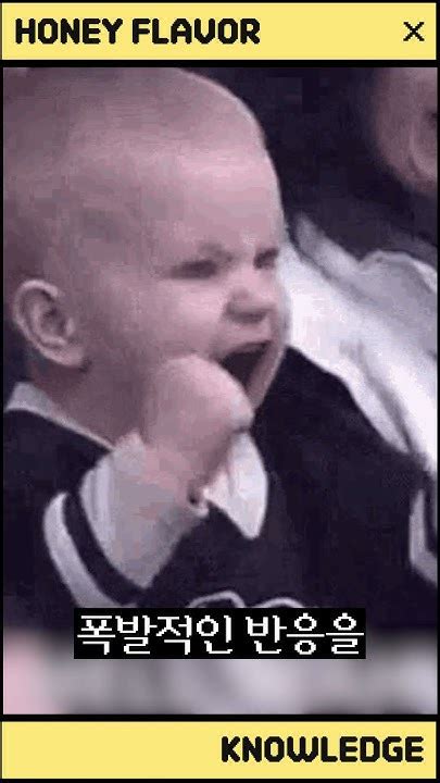 불교의 발상지 인도에서 불교가 사라진 이유 Youtube