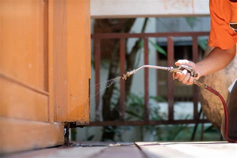 Understanding Pest Behavior For Pest Control Entech