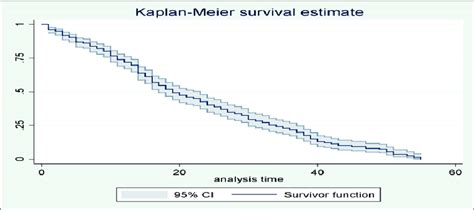 The Plots Of The Overall Estimate Of Kaplan Meier Survivor Function Of