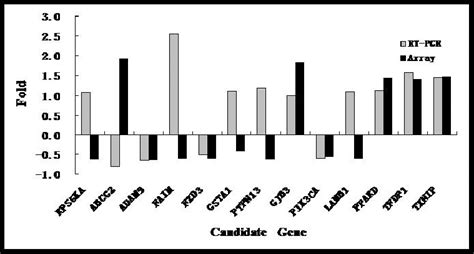 Comparison Of Ratios Between RT PCR And Array The Y Axis Indicates The Download Scientific