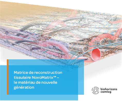 Novomatrixtm Reconstructive Tissue Matrix The Next Generation Material Eacim