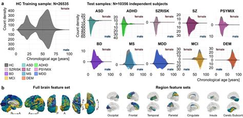 Sample Distributions And Brain Features Used For Brain Age Prediction Download Scientific