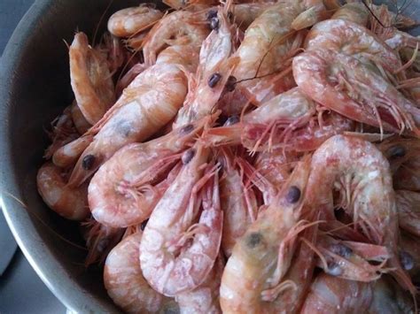 狗蝦炒蛋澎湖野生水產豆豆愛的料理食譜做法 豆豆的Cook1Cook食譜分享