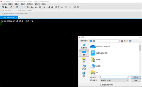 linux运维 openoluar csdn博客