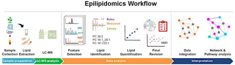 Scheme Of The Epilipidomics Workflow Described In Four Stages Sample
