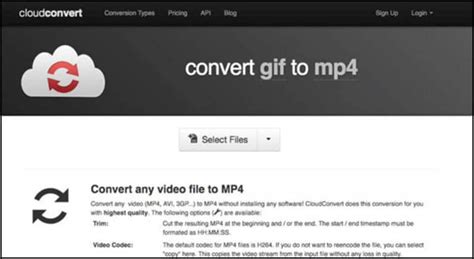Top Methods To Convert GIF To MP Easily