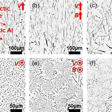 Microstructures Of The Eutectic Al Fe Alloys Directionally Solidified Download Scientific