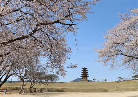 익산 출신 연예인 프로필 모음 아이돌 가수 배우 여배우 남배우 여자 배우 남자 배우 남자 연예인 여자 연예인 여가수 남가수 야구선수 축구선수 개그맨