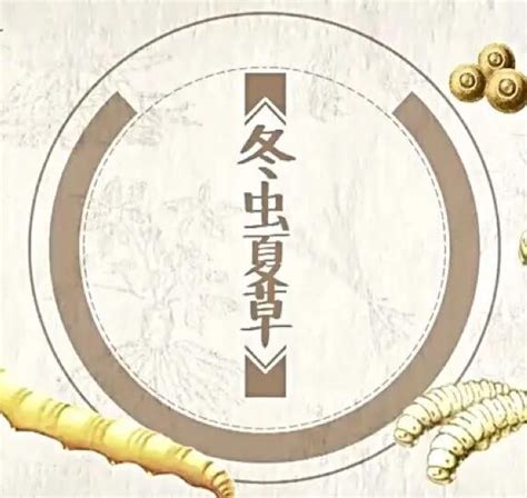 A8dj舞曲网 A8djcom 汇集娱乐精英 广西dj总站 包房精品dj舞曲汇聚平台