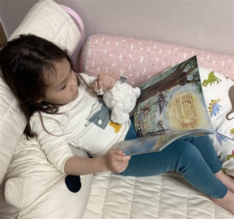 교육과정 개정으로 인해 더 중요해지는 독서와 글쓰기 Ib교육과 연계해서 생각해보면 네이버 블로그