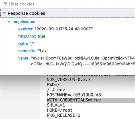 Withcredentials Env Variable In Docker Doesnt Work · Issue 6355 · Swagger Apiswagger Ui · Github