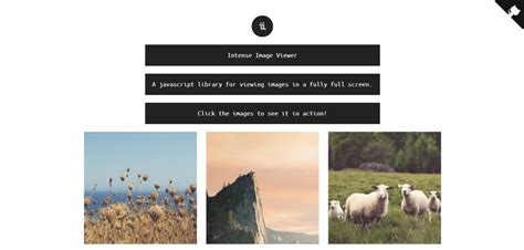 How To Add A Javascript Library To Your Wordpress Site Developer Drive