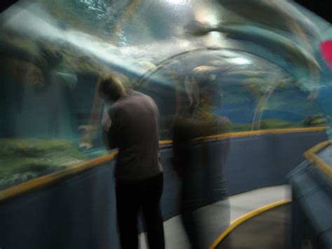 Axoplasm Don In Tha House