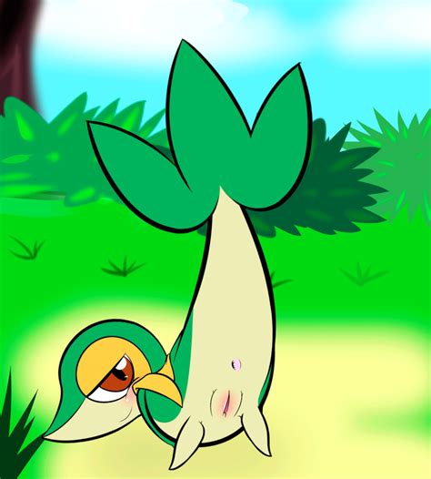 Rule 34 Animated Anus Ass Up Female Feral Generation 5 Pokemon Genitals Grass Hi Res Jhussethy