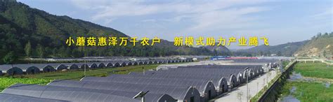 卢氏县林海兴华农业发展有限公司