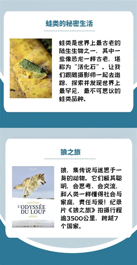 CCTV 9适合全家一起看的20部国际纪录片佳作