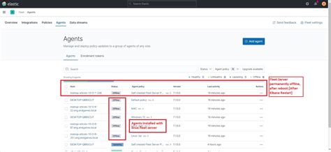 Fleet Server Goes To Permanent Offline State When Fleet Server Agent Is