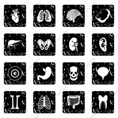 흰색 배경 벡터 일러스트 레이 션에서 절연 그런 지 스타일에서 설정하는 인간의 장기 아이콘 두개골 에 편집 가능 Png 일러스트 및 벡터 에 대한 무료 다운로드