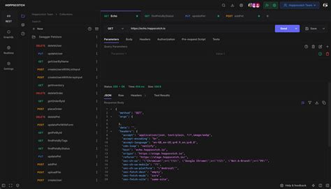 Testing Api Was Never Been Easy Use Hoppscotch Codementor