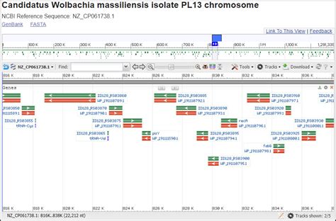 Nucleotide Blast Blastn Archives Ncbi Insights
