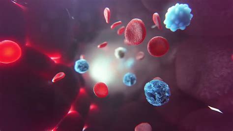 Alain Villeneuve On Linkedin The Role Of Plasmacytoid Dendritic Cells In Autoimmunity