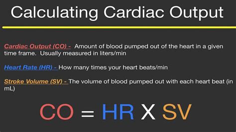 Physiology Calculating Cardiac Output Heart Rate And Stroke Volume