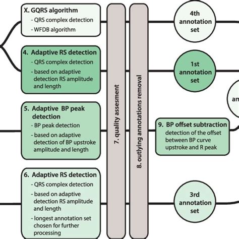 schematic diagram of the developed algorithm the numbering represents