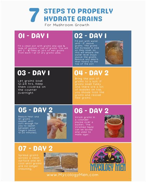 Awesome Guide On How To Make Grain Spawn For Mushrooms