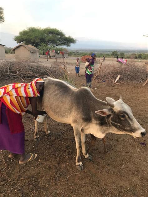 Educate And Empower Masai Girls In Tanzania GlobalGiving