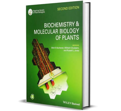 Biochemistry And Molecular Biology Of Plants 2nd Edition Bioweb® Colombia