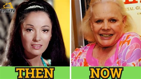 45 Famous Celebrity Actors In The High Chaparral Cast Then And Now